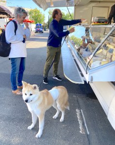 26 July 2023 : Happy Birthday, Bentsen – Andy Smallman